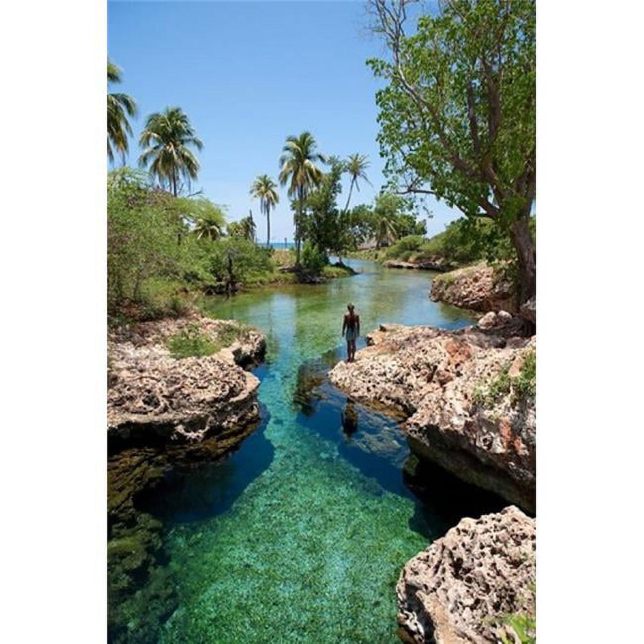 Alligator Hole Black River Town Jamaica Caribbean Poster Print by Greg ...