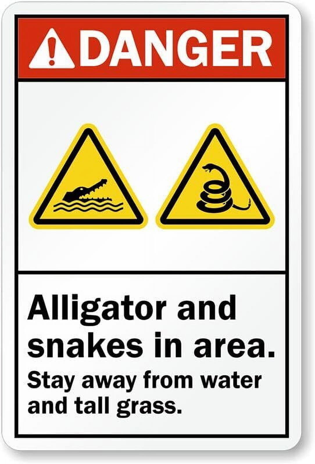 Alligator Snakes In Area Weatherproof Metal Sign Size: 16 x 12 Inch ...