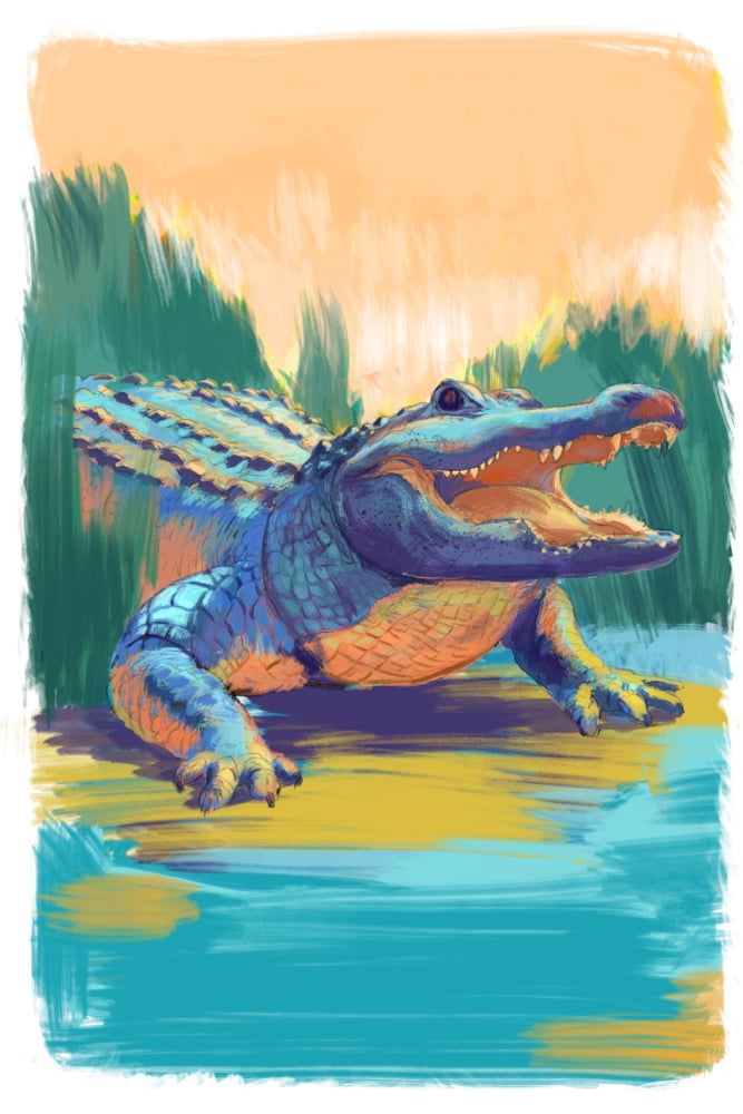 Alligator, Vivid (36x54 Giclee Gallery Art Print, Vivid Textured Wall ...