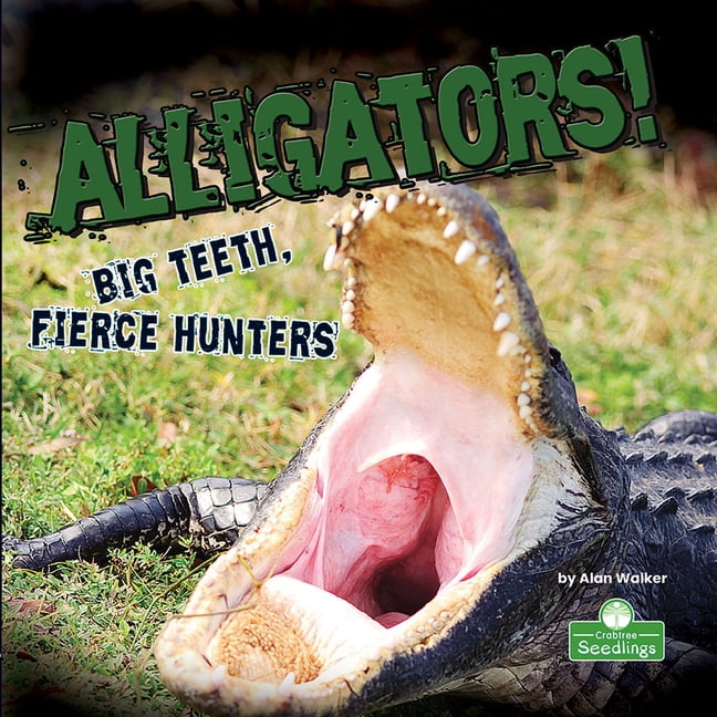 Alligators! Big Teeth, Fierce Hunters (Built to Survive) - Walmart.com
