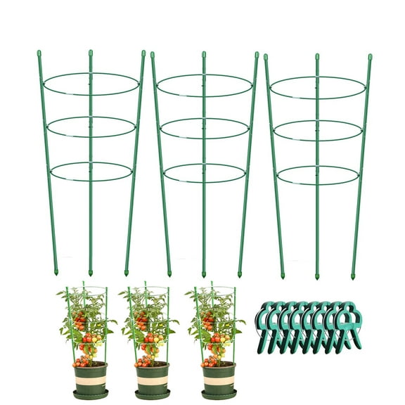 Plant Cages To Protect From Rabbits