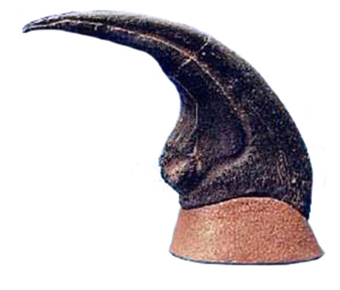 Allosaurus Dinosaur Claw Replica on Base - 9" - Walmart.com