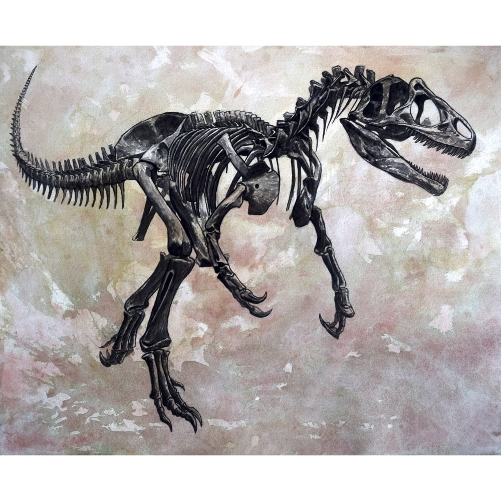 Allosaurus dinosaur skeleton Poster Print - Walmart.com