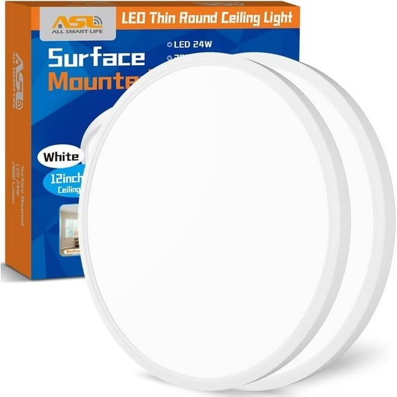 Allsmartlife Flush Mount Led Ceiling Light 2 Pack, 24W 2880lm,3000K ...