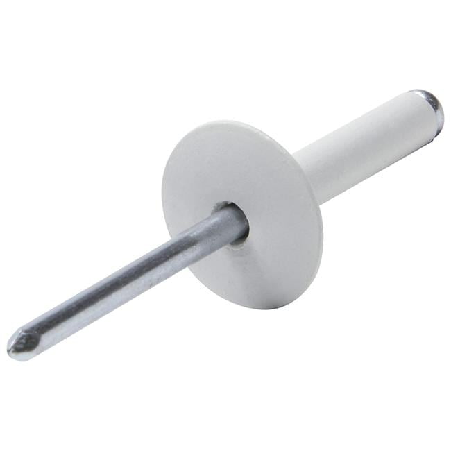 Allstar Performance ALL18031 Large Head Rivet, White - Pack of 250 ...