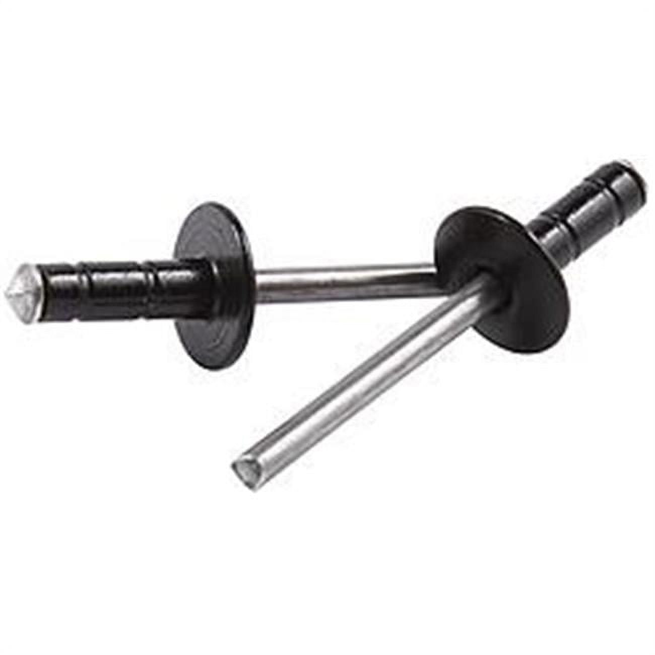 Allstar Performance ALL18075 Medium Head Multi-Grip Rivet with Aluminum ...