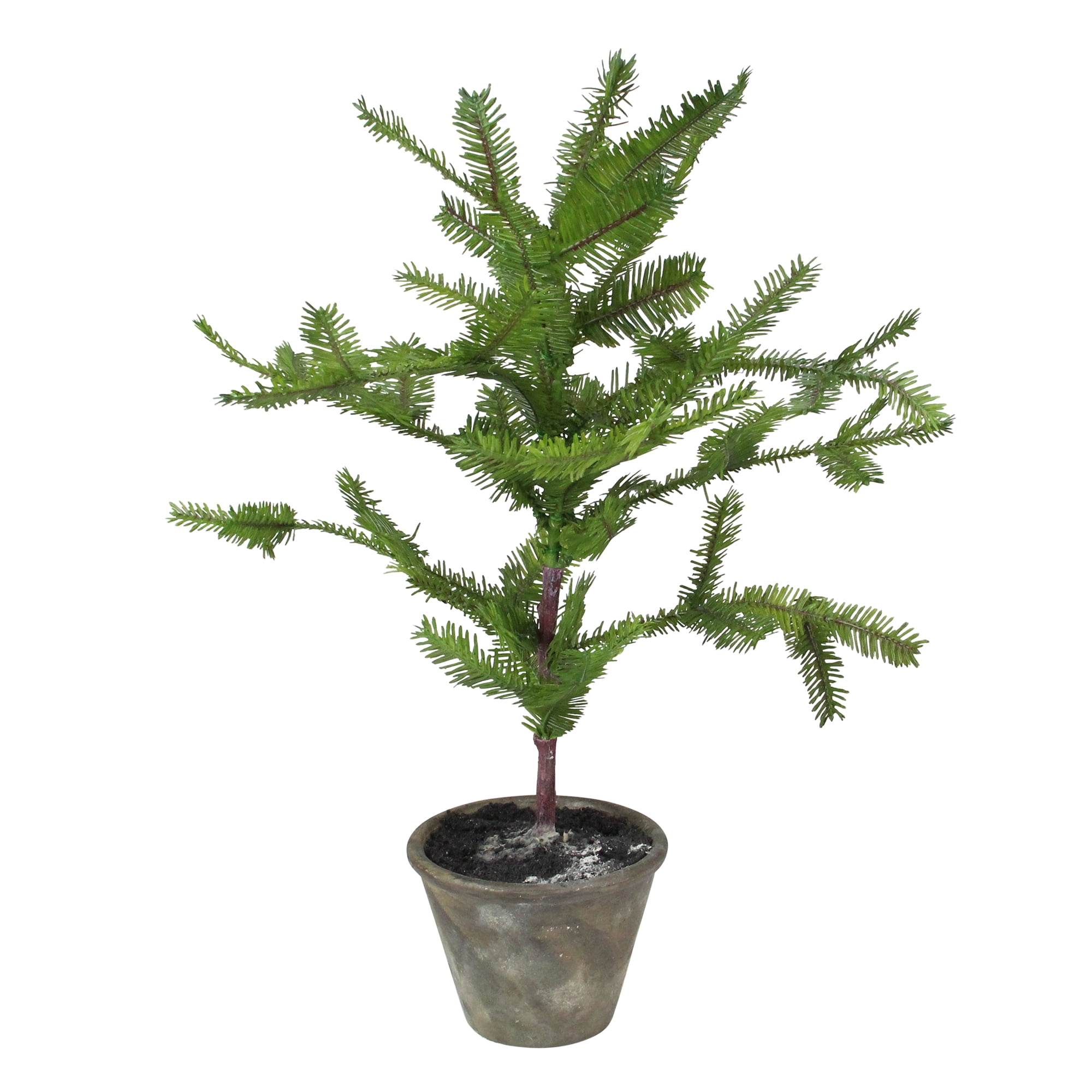 22" Green Artificial Mini Pine Tree in Paper Mache Pot - Walmart.com