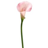 Allstate Club Pack of 24 Light Pink Calla Lily Artificial Floral Sprays ...