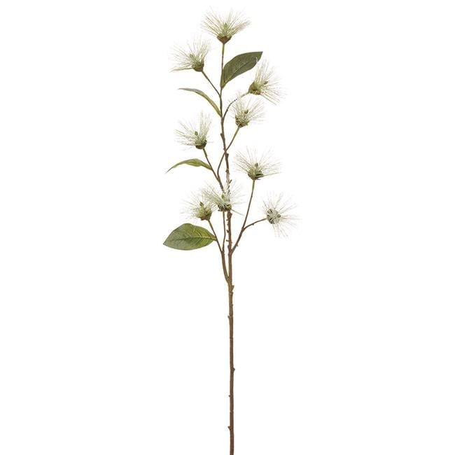 Allstate Floral & Craft FSL090-CR 37.5 in. Lions Tail Artificial Flower ...