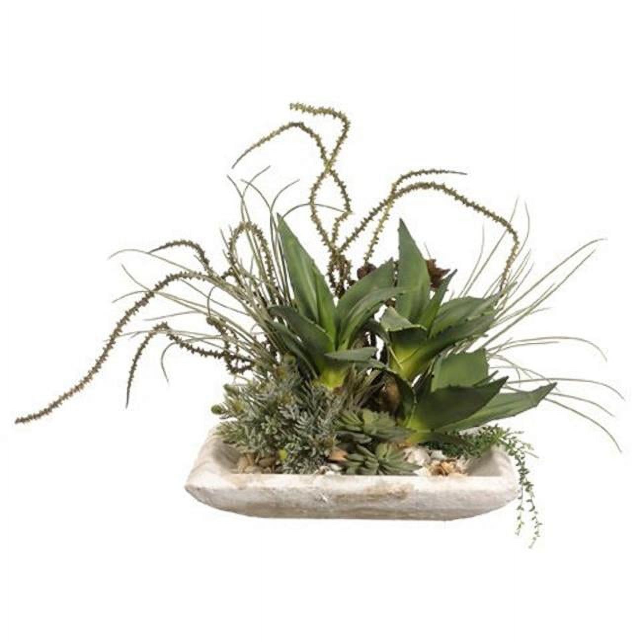 Allstate Floral WF3415-GR-CV 20 in. Hx21 in. Wx23 in. L Succulents on ...