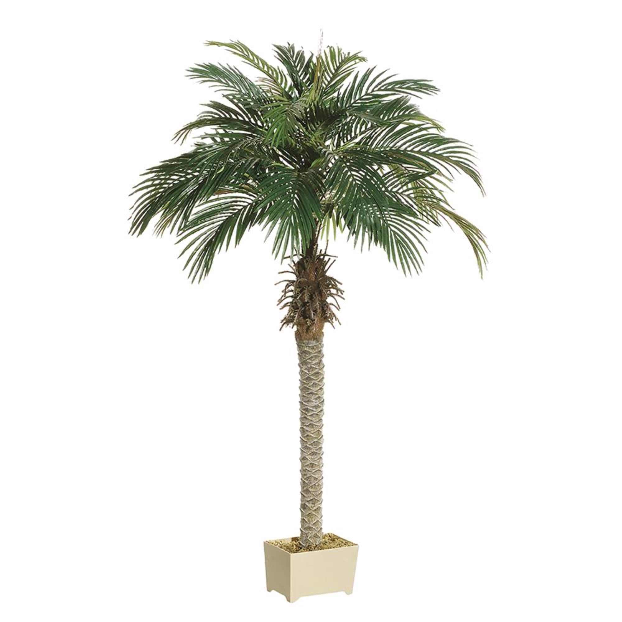 Allstate Potted Artificial Phoenix Palm Trees - 6' - Set of 2 - Walmart.com