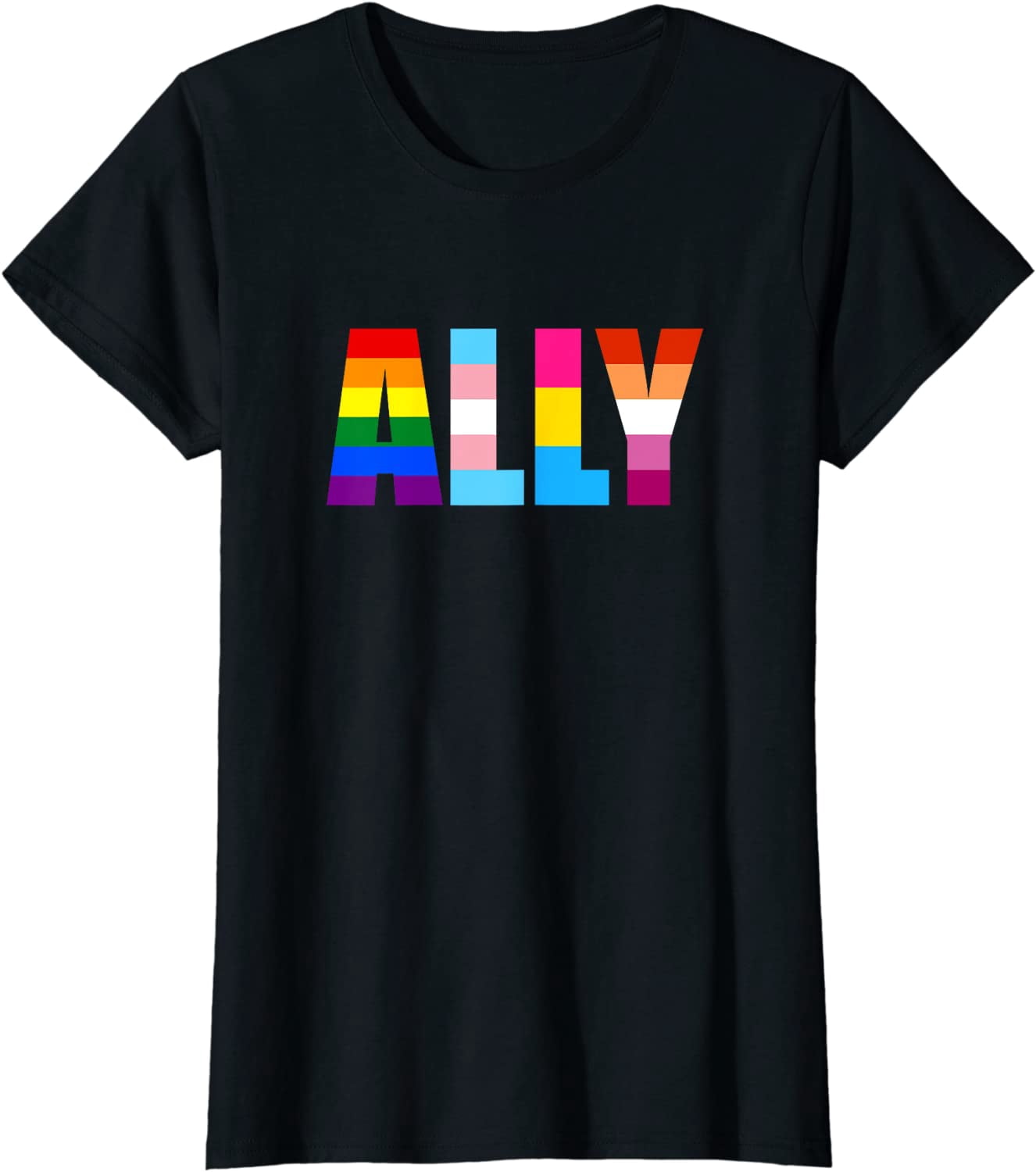 Ally Gay Pride Trans Pride Pan Pride Lesbian Pride Flag T-Shirt ...