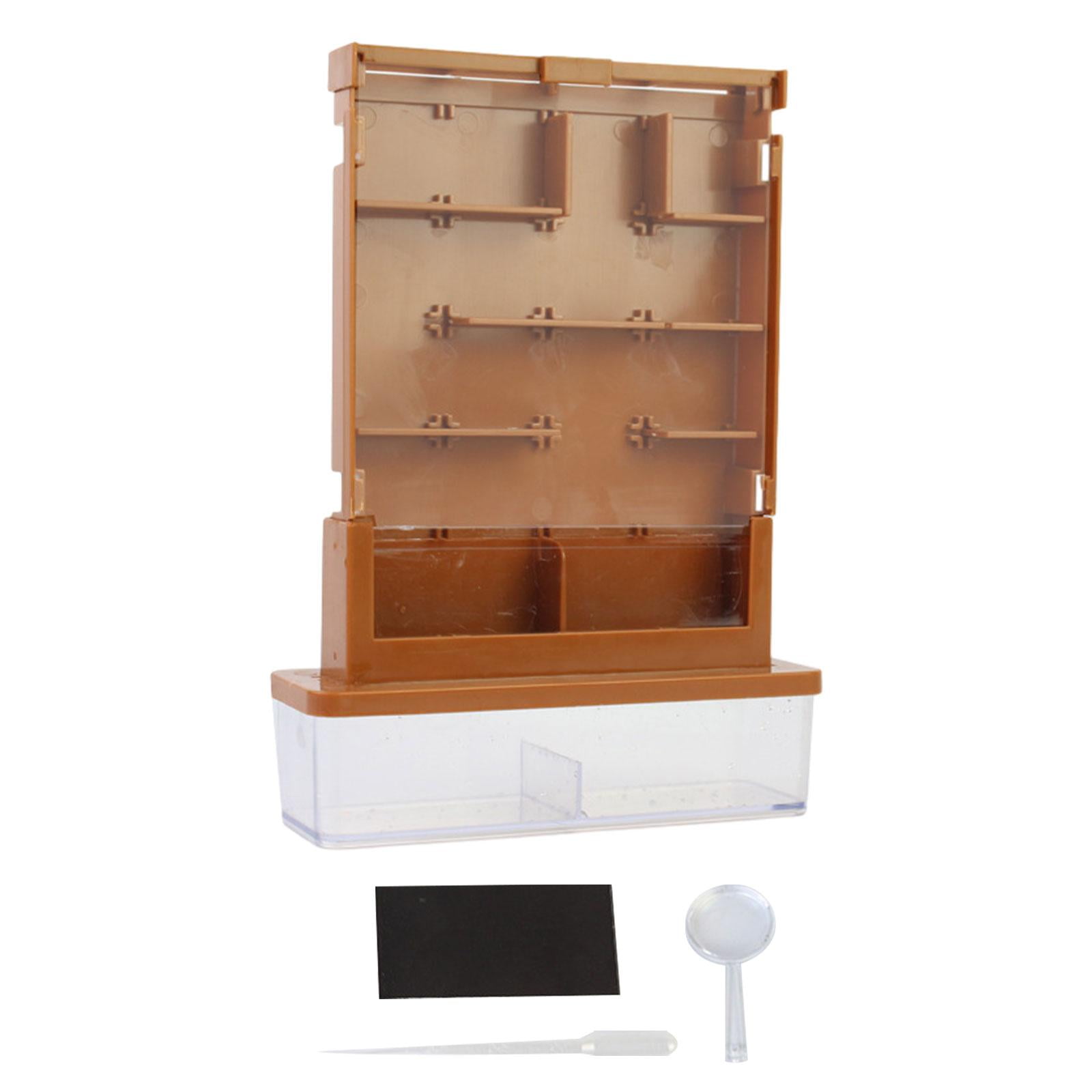 Almencla Plant Maze Science Kits, DIY Plant Growing Kits, Watch Plant ...