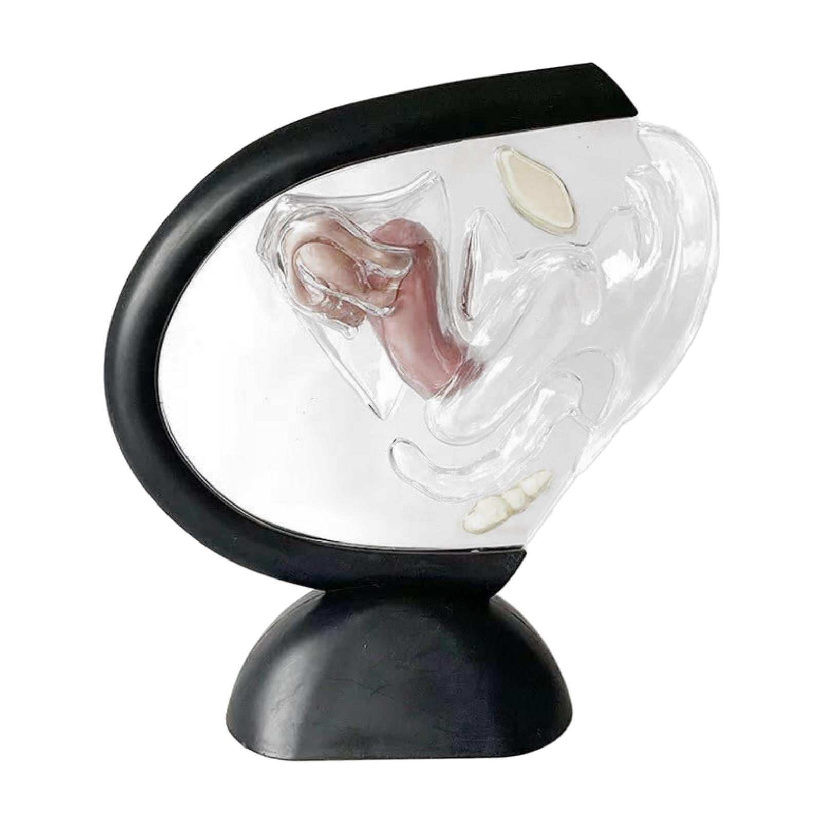 Almencla Uterus Model Gift Versatile Biology Teaching Aids Educational ...