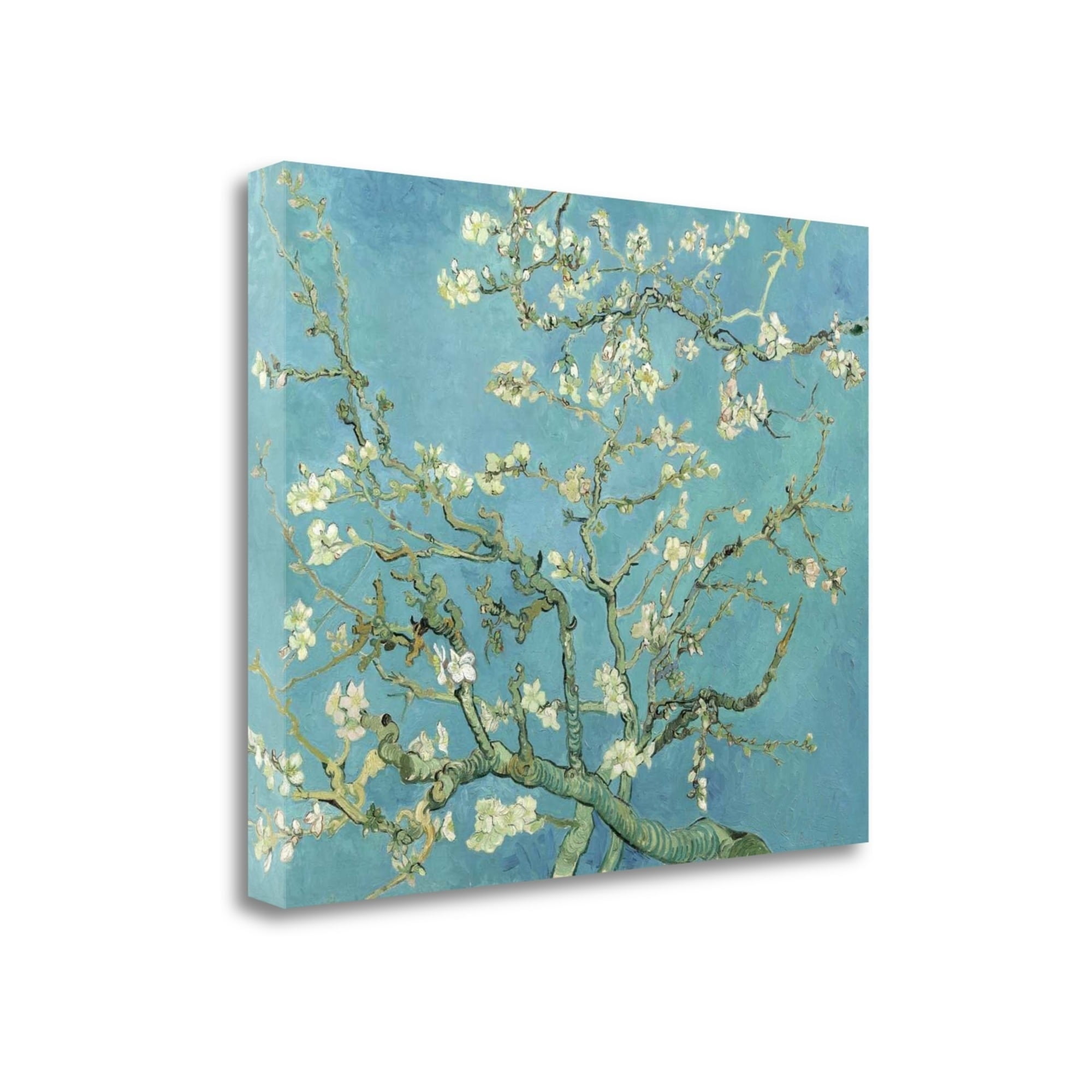 Tangletown Art, 21 x 17 "Almond Blossoms 1890 " by Vincent Van Gogh ...