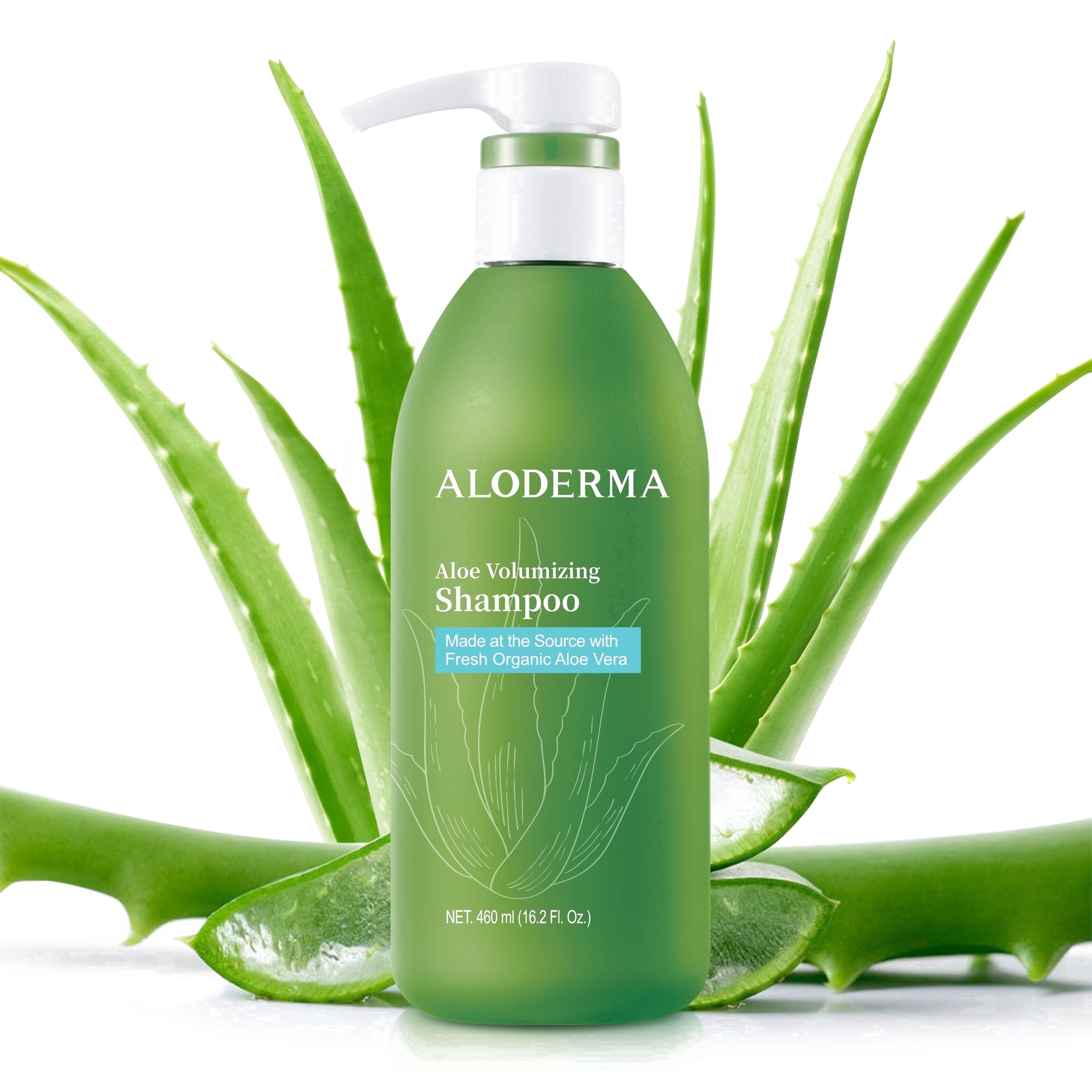 Aloderma Aloe Volumizing Shampoo for Fine, Brittle, & Thinning Hair ...