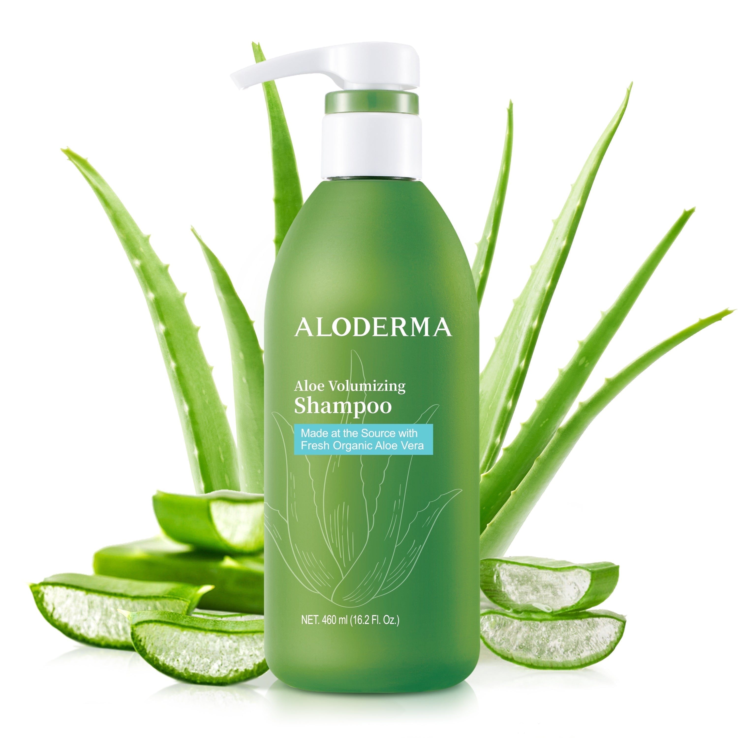 Aloderma Aloe Volumizing Shampoo for Fine, Brittle, & Thinning Hair ...