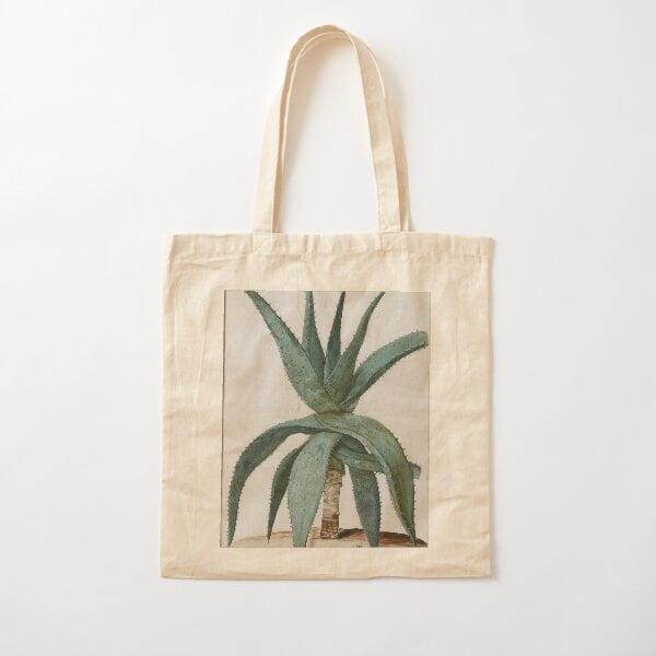 Aloe, Plant, Botanical, Botanical Illustration, Dutch, Artist ...