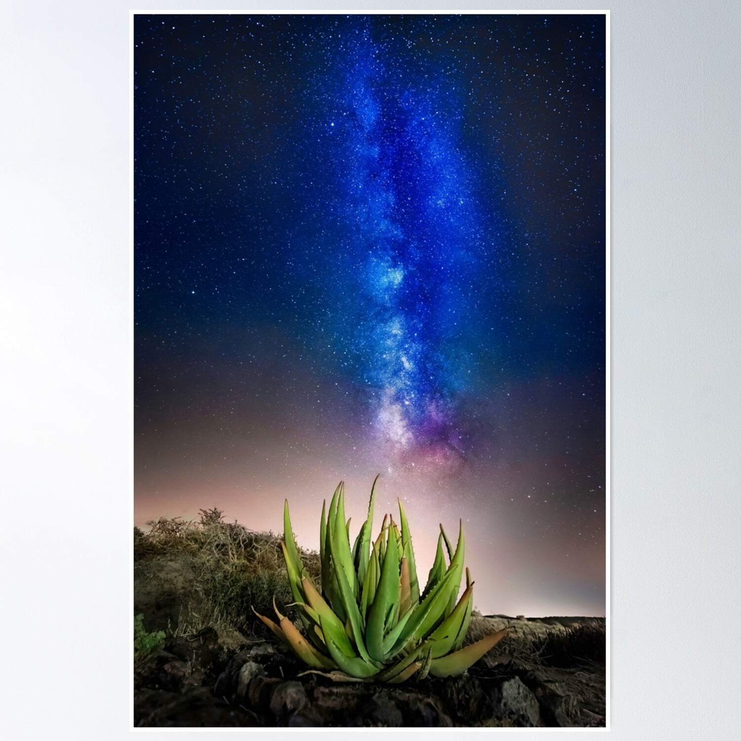 Aloe Vera Plant With Milky Way Poster Wall Art, Modern Wall Decor ...