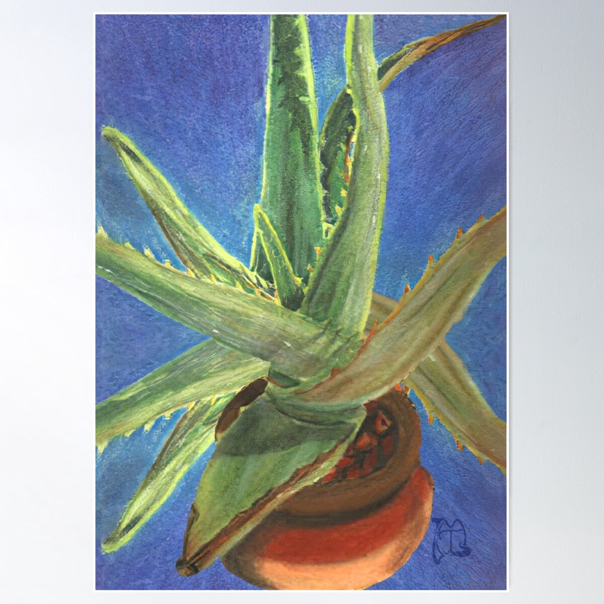 Aloe Vera Succulent Plant Poster Wall Art, Modern Wall Decor For Living ...