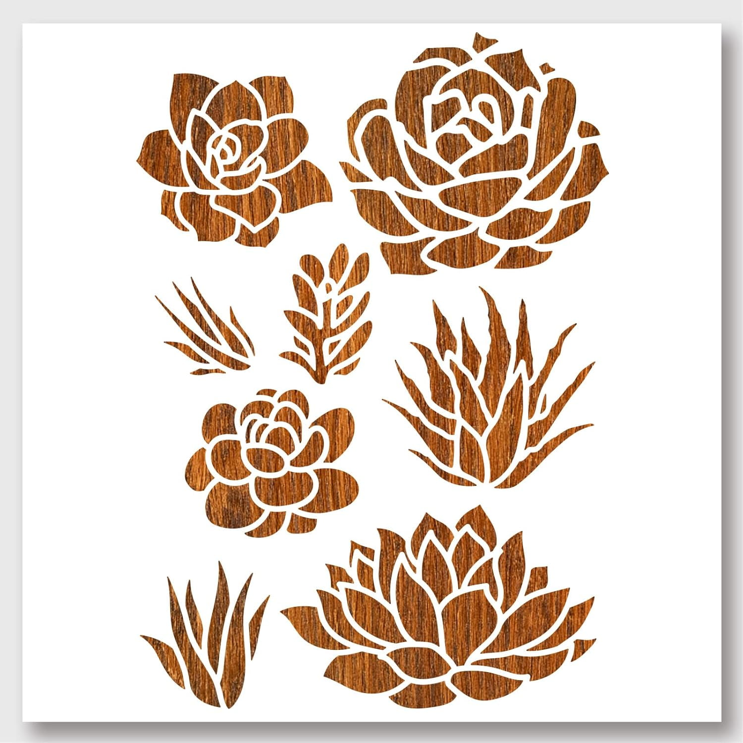 Aloe Vera Succulents Stencil Reusable Garden Plants Painting Templates ...