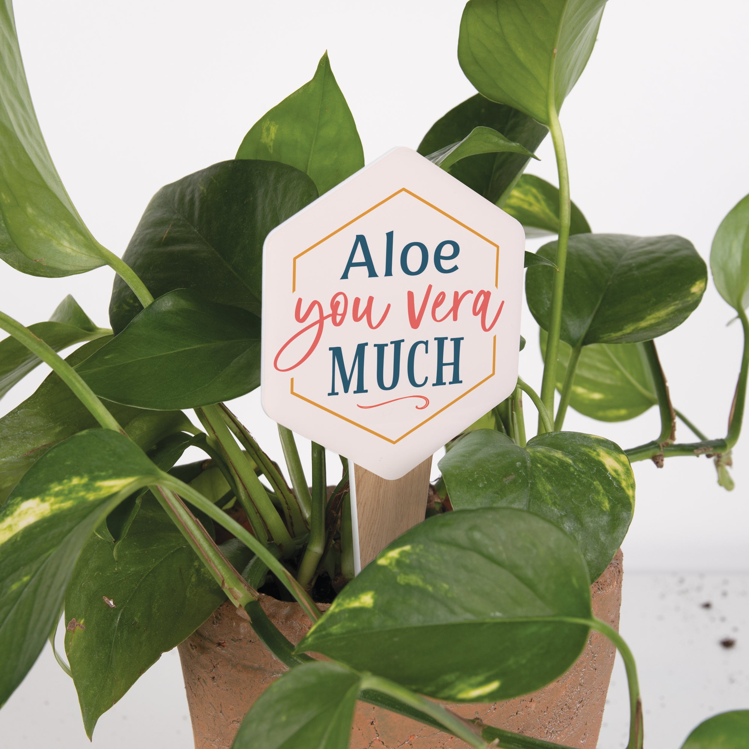 Aloe You Vera Much Plant Pal Garden Sign - Walmart.com