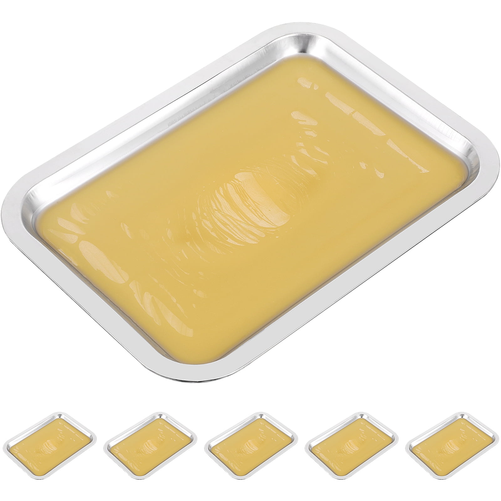 Aloha 6pcs Wax Dissection Tray Biological Labs Equipment for Junior ...
