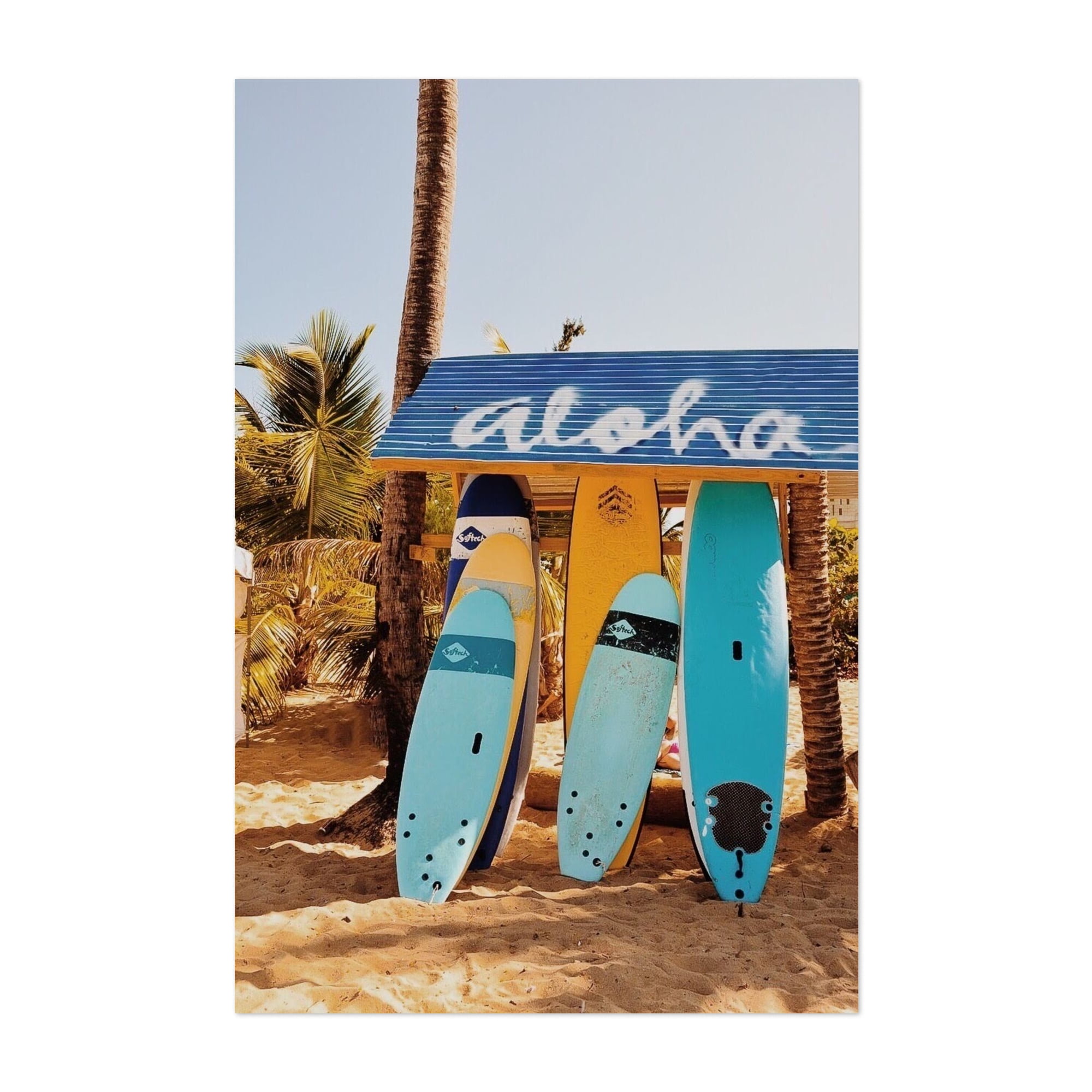 Aloha - Isabela Puerto Rico Photography Surfboard Beach Tropical Palm ...