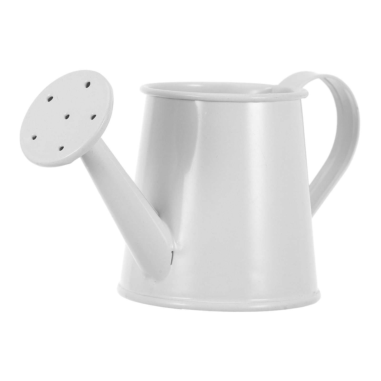Aloha Metal Watering Can for Succulents and Plants Decorative Pot ...