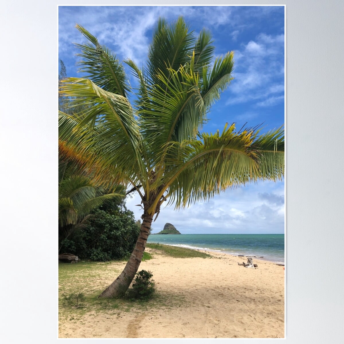 Aloha Mish Chillaxn Poster Wall Art, Modern Wall Decor For Living Room ...