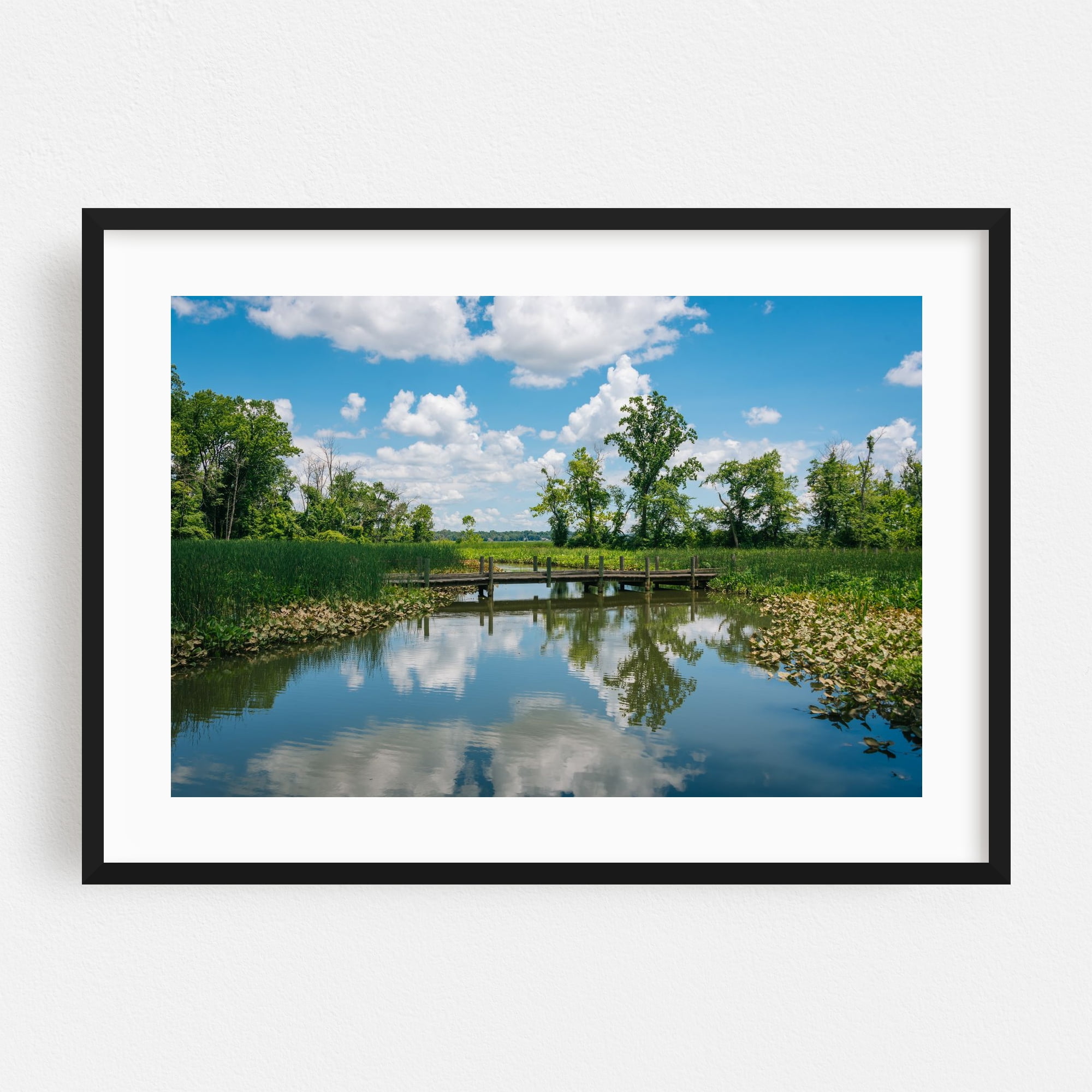 Along Mount Vernon Trail - Alexandria Virginia Photography Landscape ...