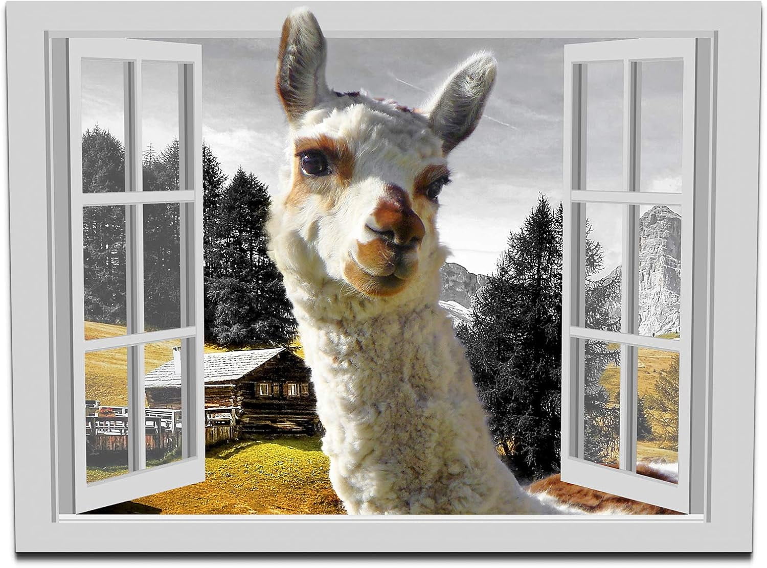 Alpaca Canvas Wall Art for Living Room Animal Head from Open Window ...