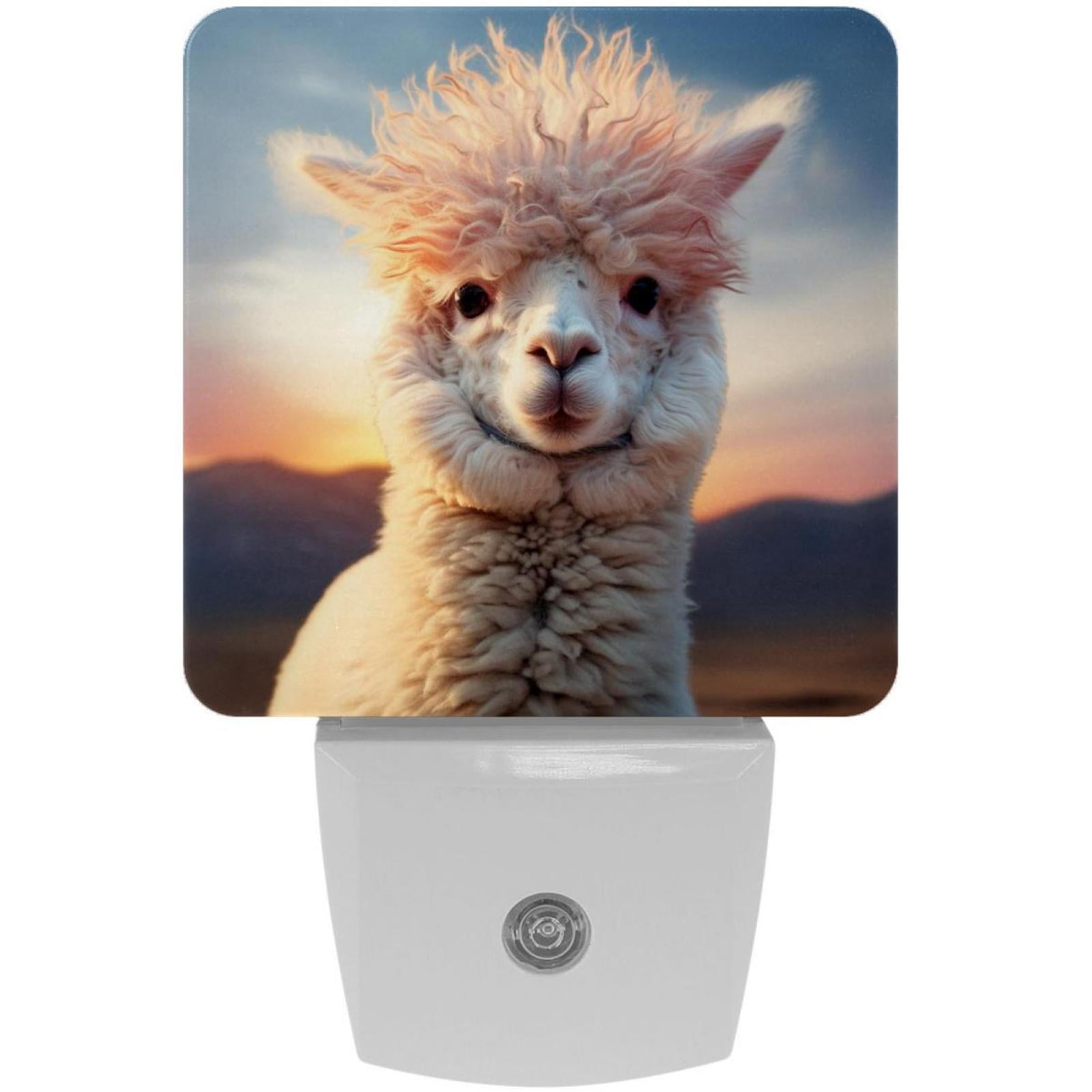 Alpaca LED Square Night Light - Small and Bright Square-shaped LED ...