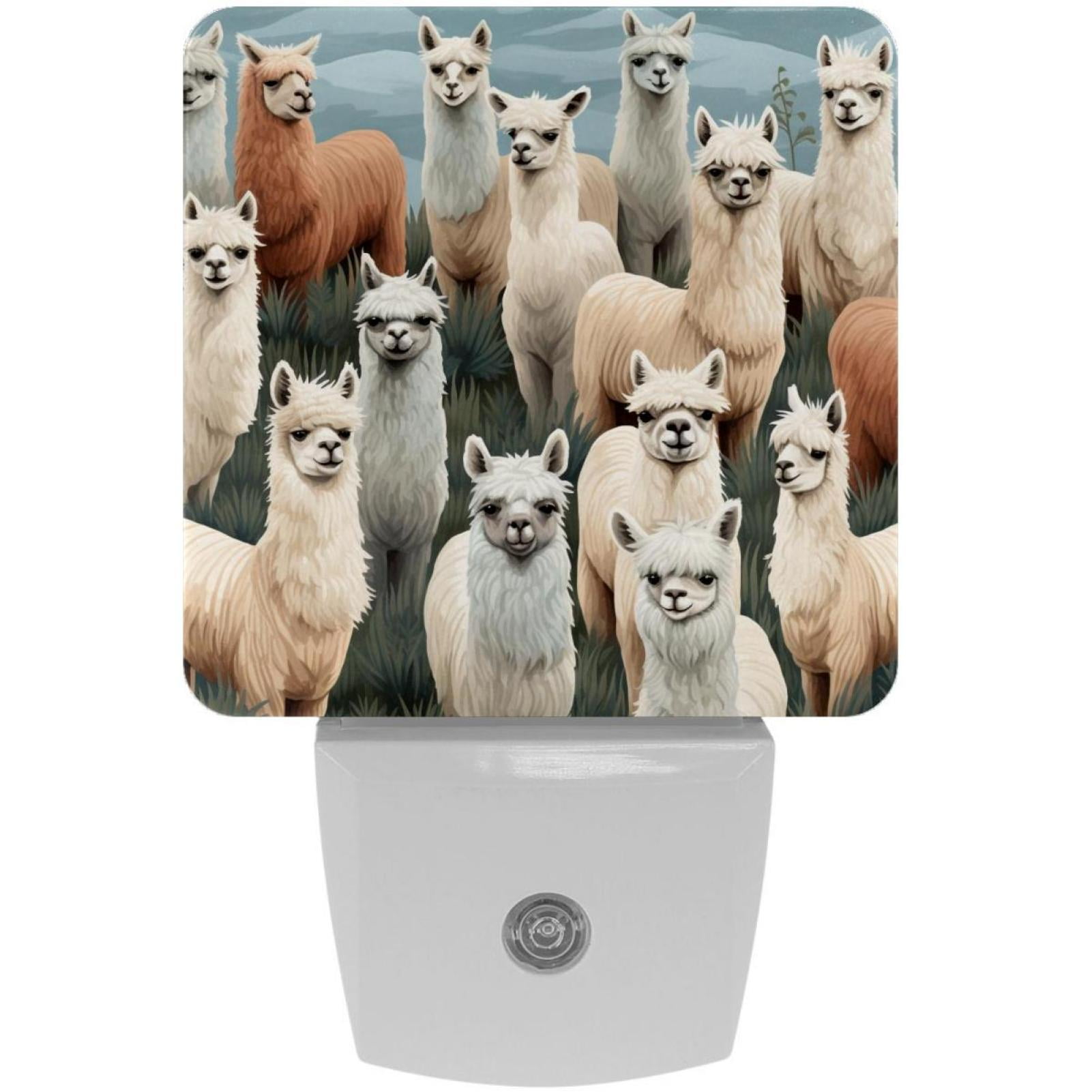 Alpaca LED Square Night Light for Bedroom and Bathroom - Energy ...