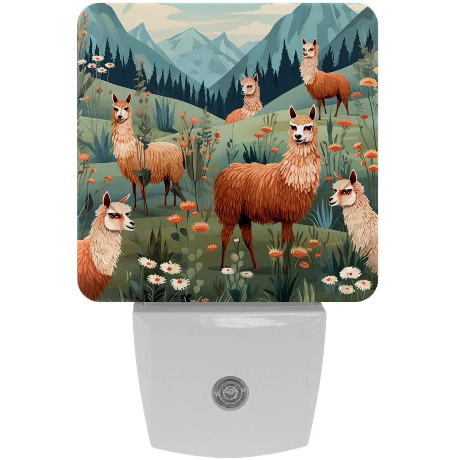 Alpaca LED Square Night Lights - Energy Efficient and Contemporary ...