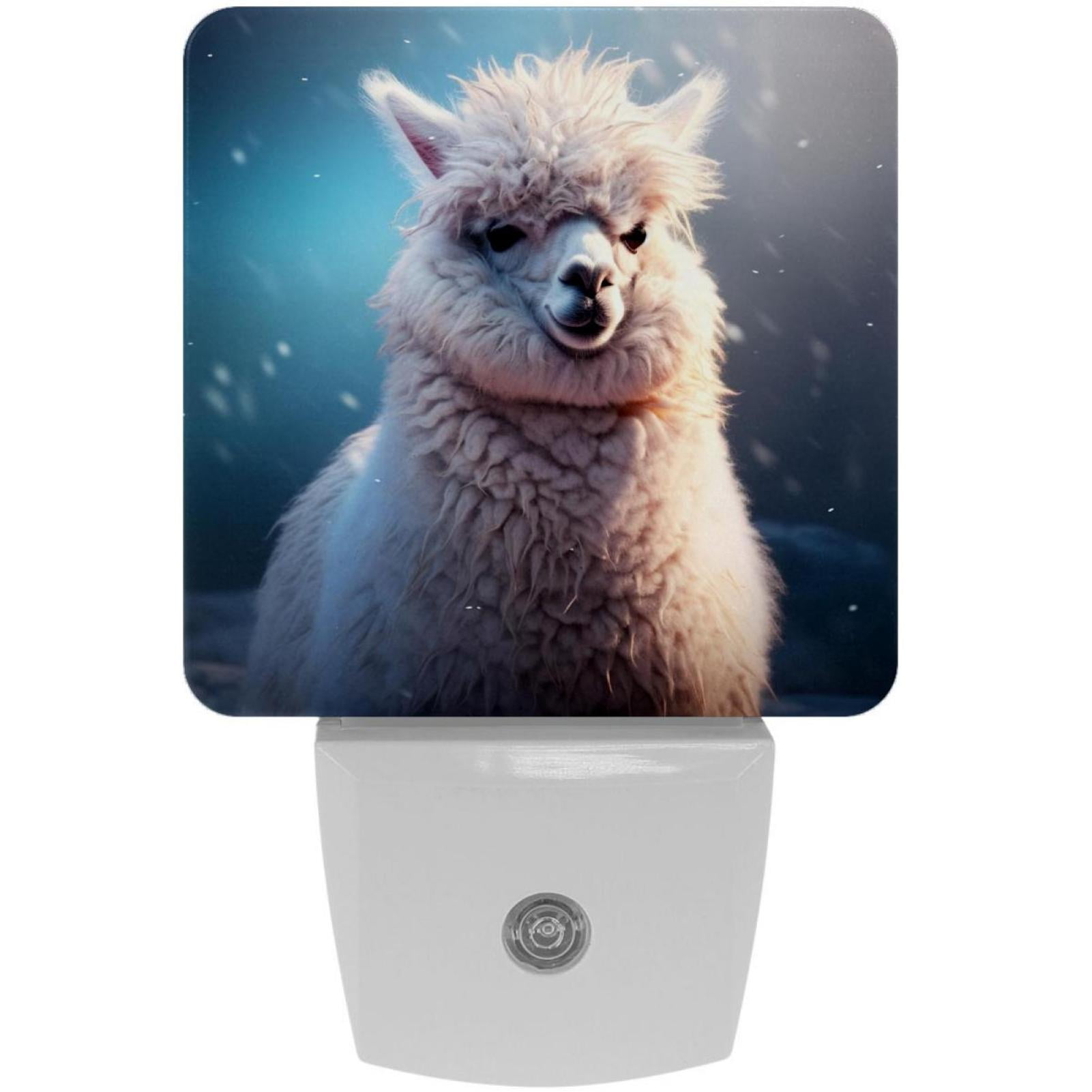 Alpaca LED Square Night Lights - Energy Efficient & Elegant Decorative ...