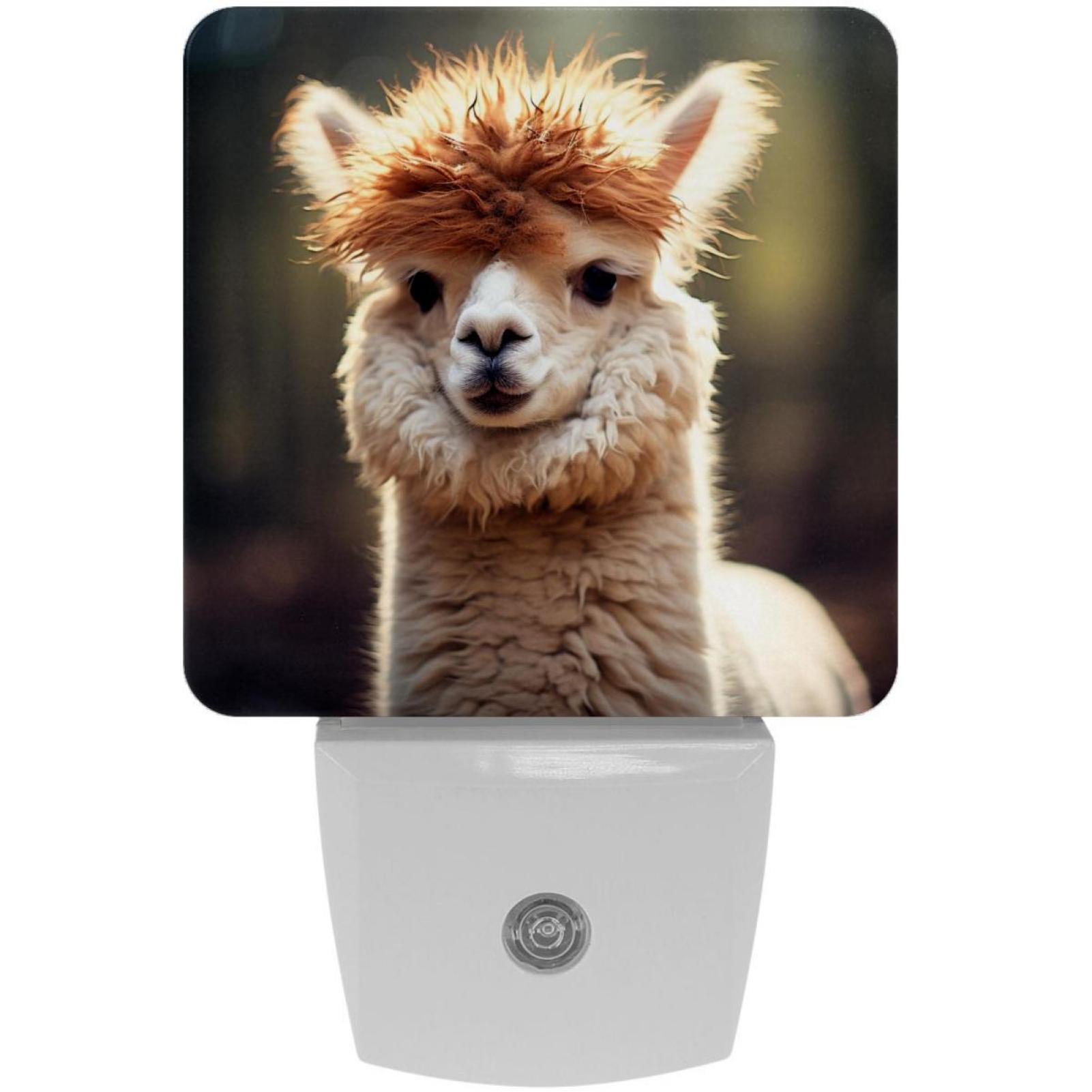 Alpaca LED Square Night Lights - Energy Efficient and Stylish Bedroom ...