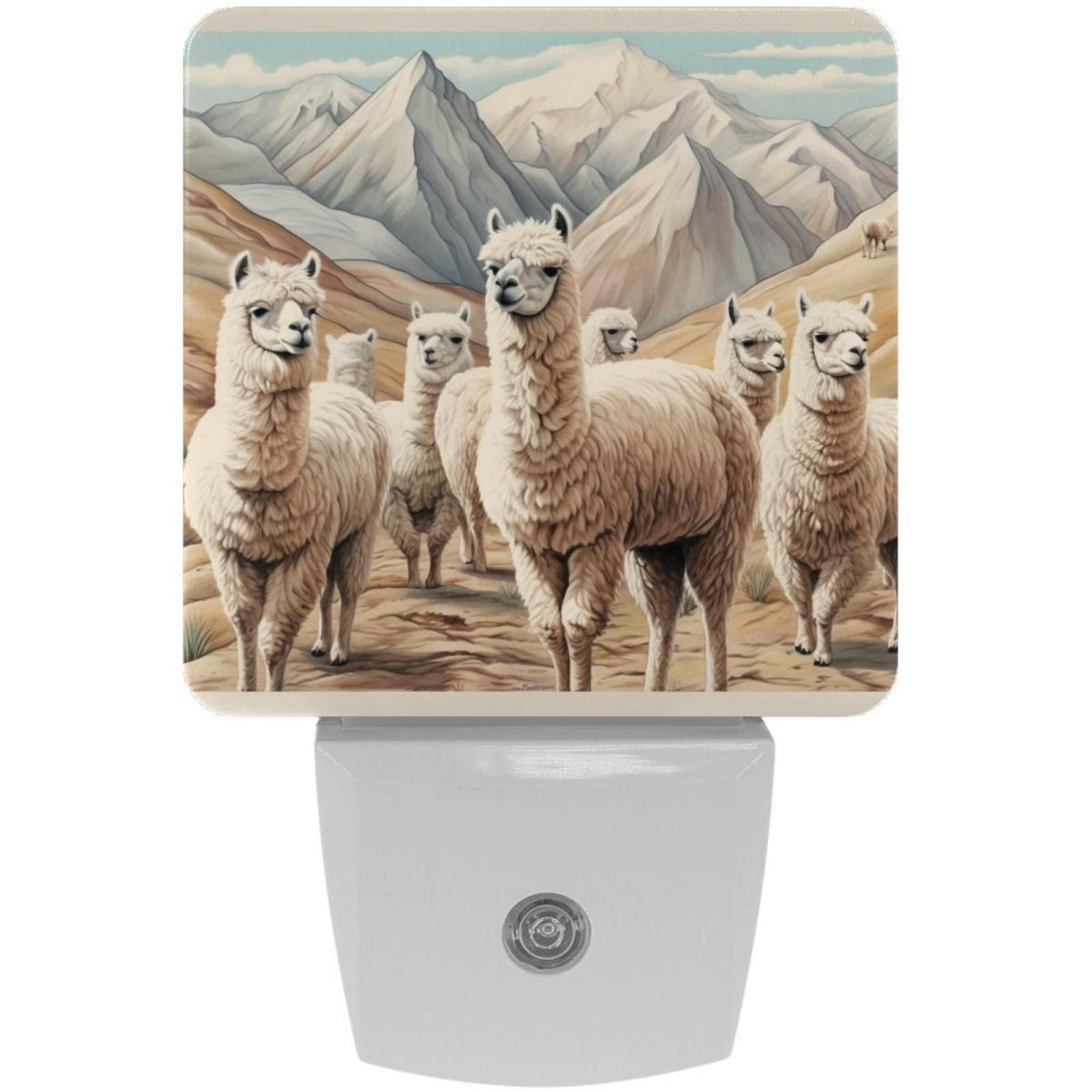 Alpaca LED Square Night Lights- Energy Efficient and Stylish ...