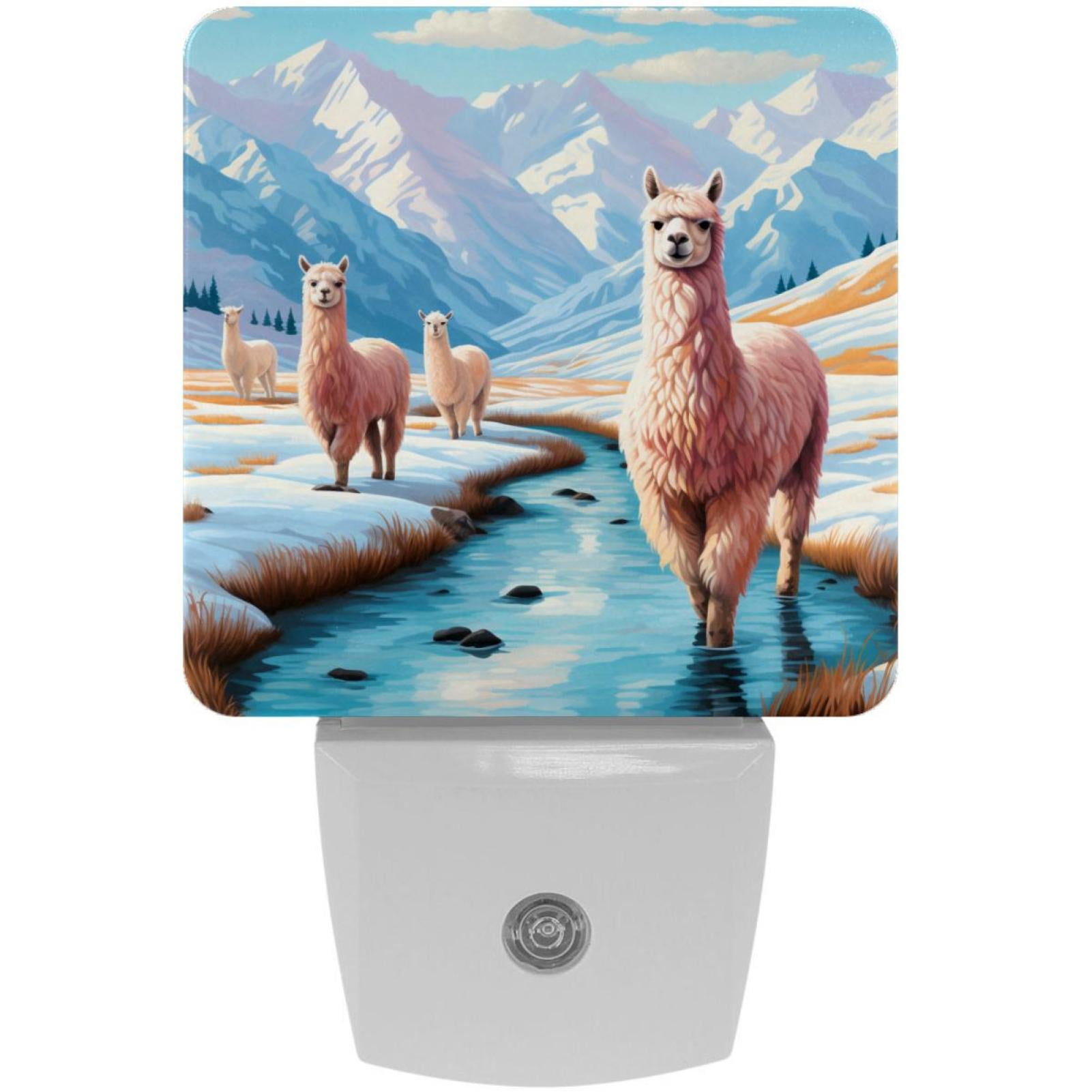 Alpaca LED Square Night Lights - Modern Design, Energy Efficient Indoor ...