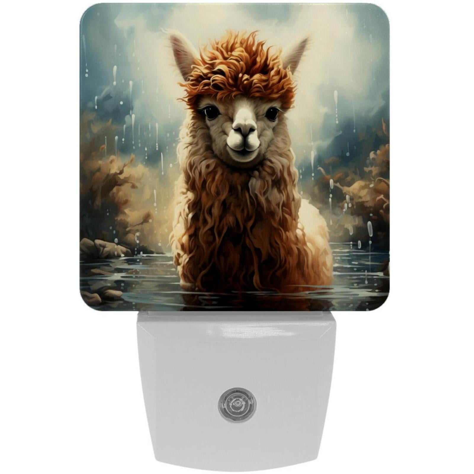 Alpaca LED Square Night Lights- Modern and Energy Efficient Bedside ...