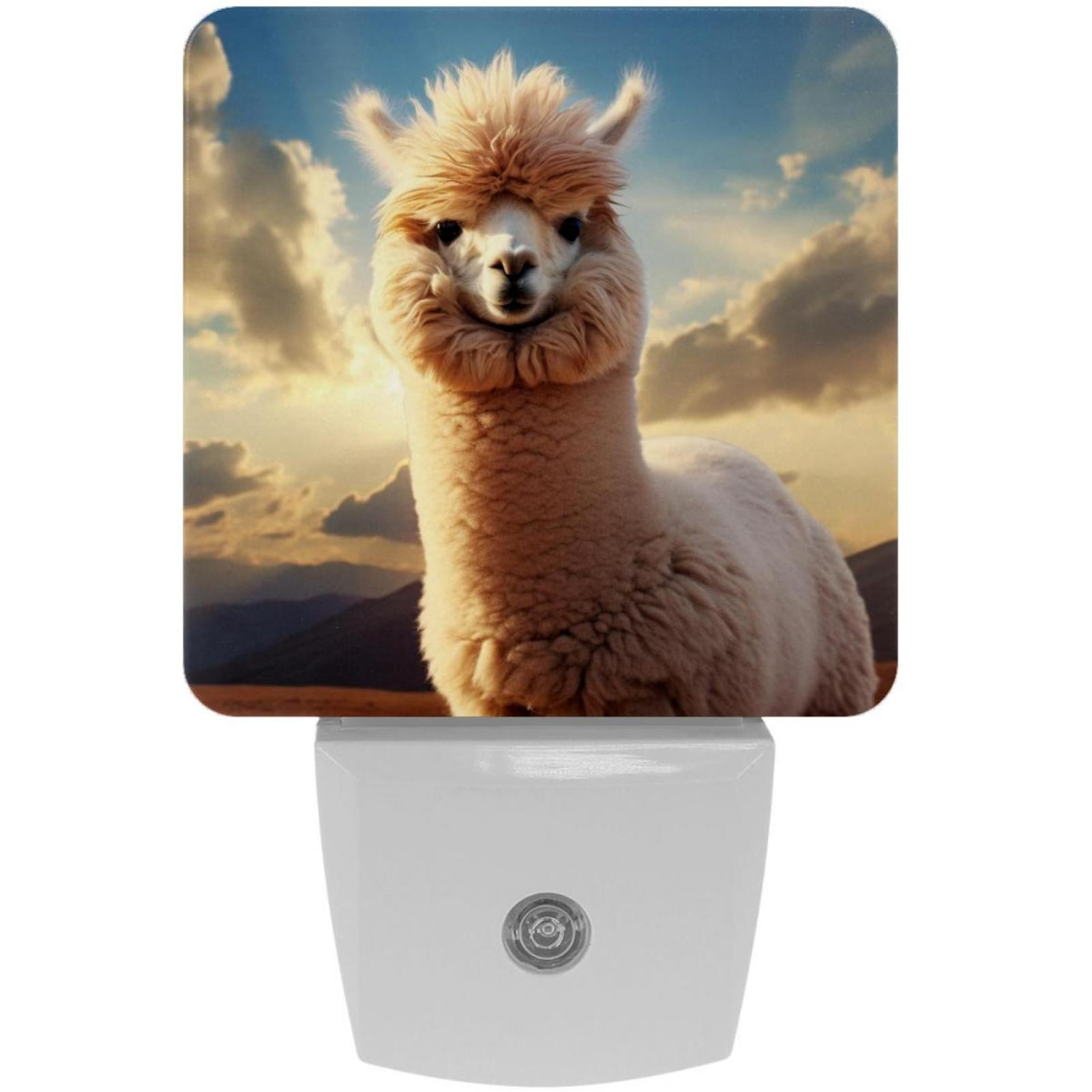 Alpaca LED Square Night Lights - Small and Bright Illumination for Your ...