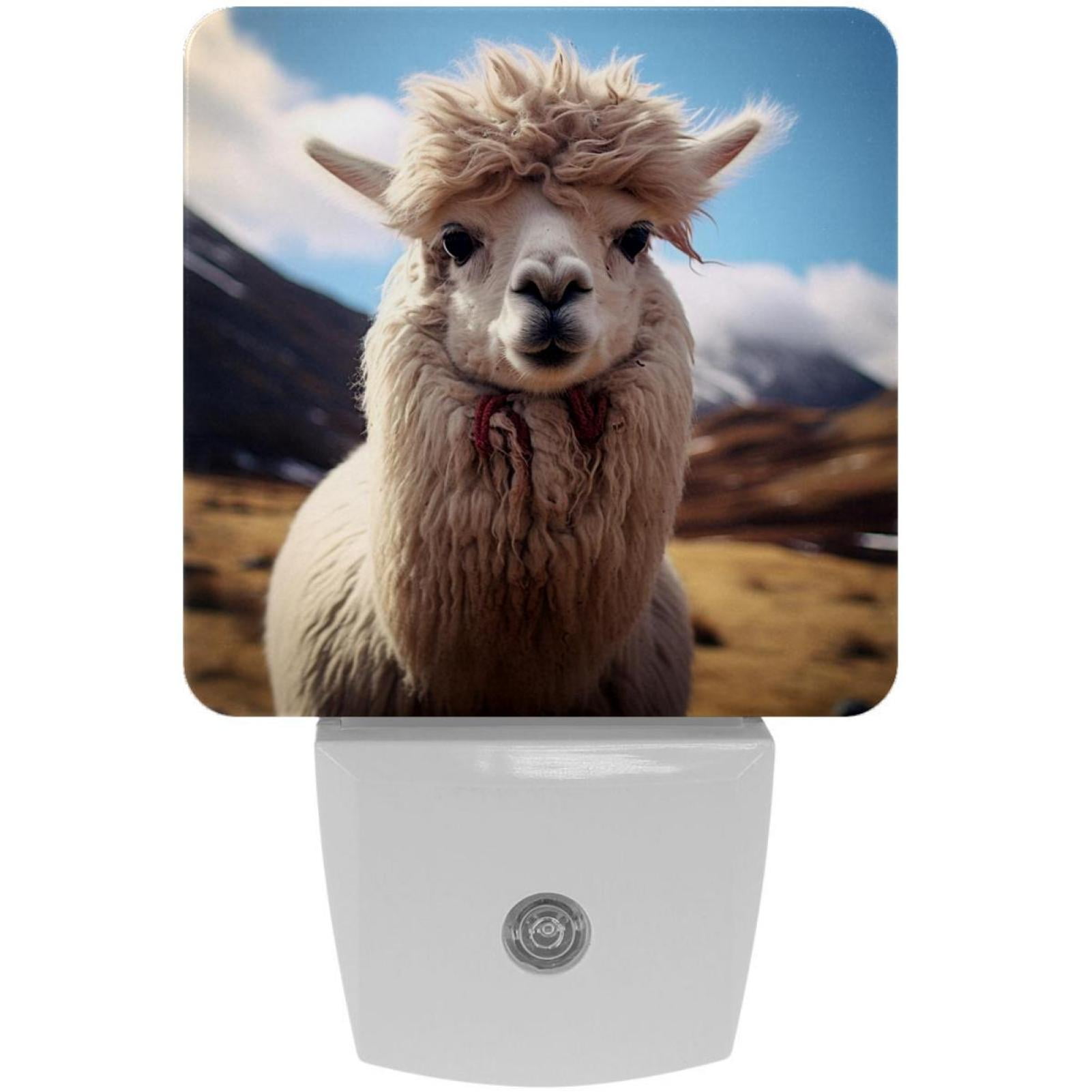 Alpaca LED Square Night Lights - Stylish and Functional Nightlight for ...