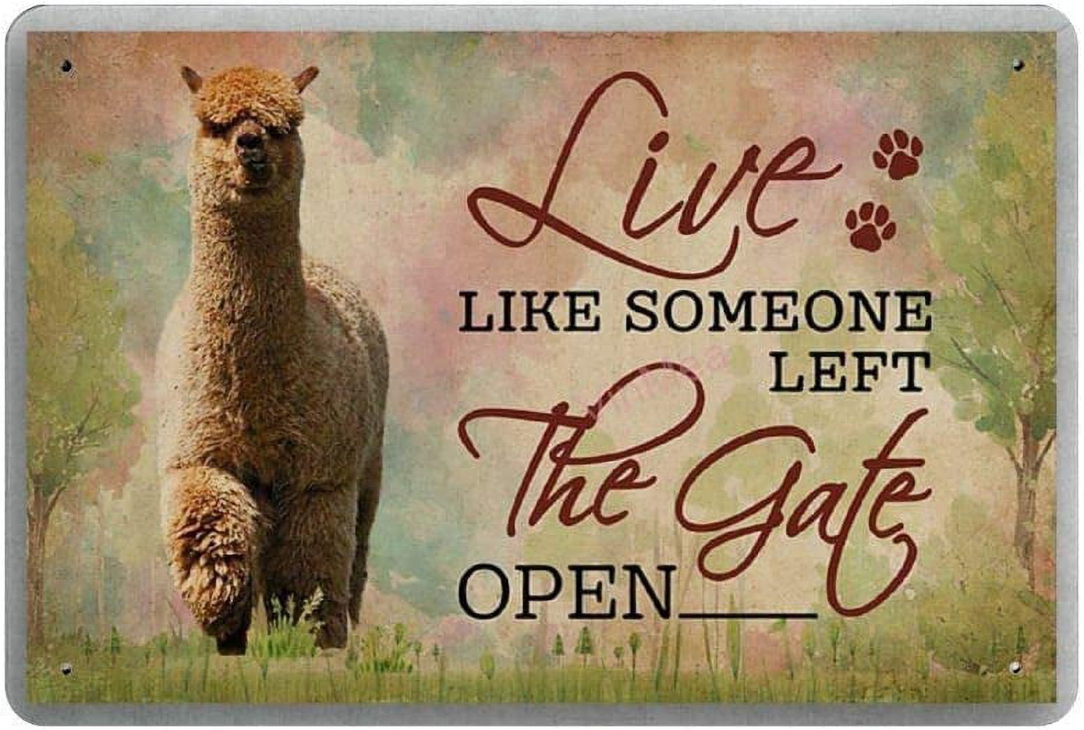 Alpaca Metal Tin Sign Live Like Someone Left The Gate Open Retro Poster ...