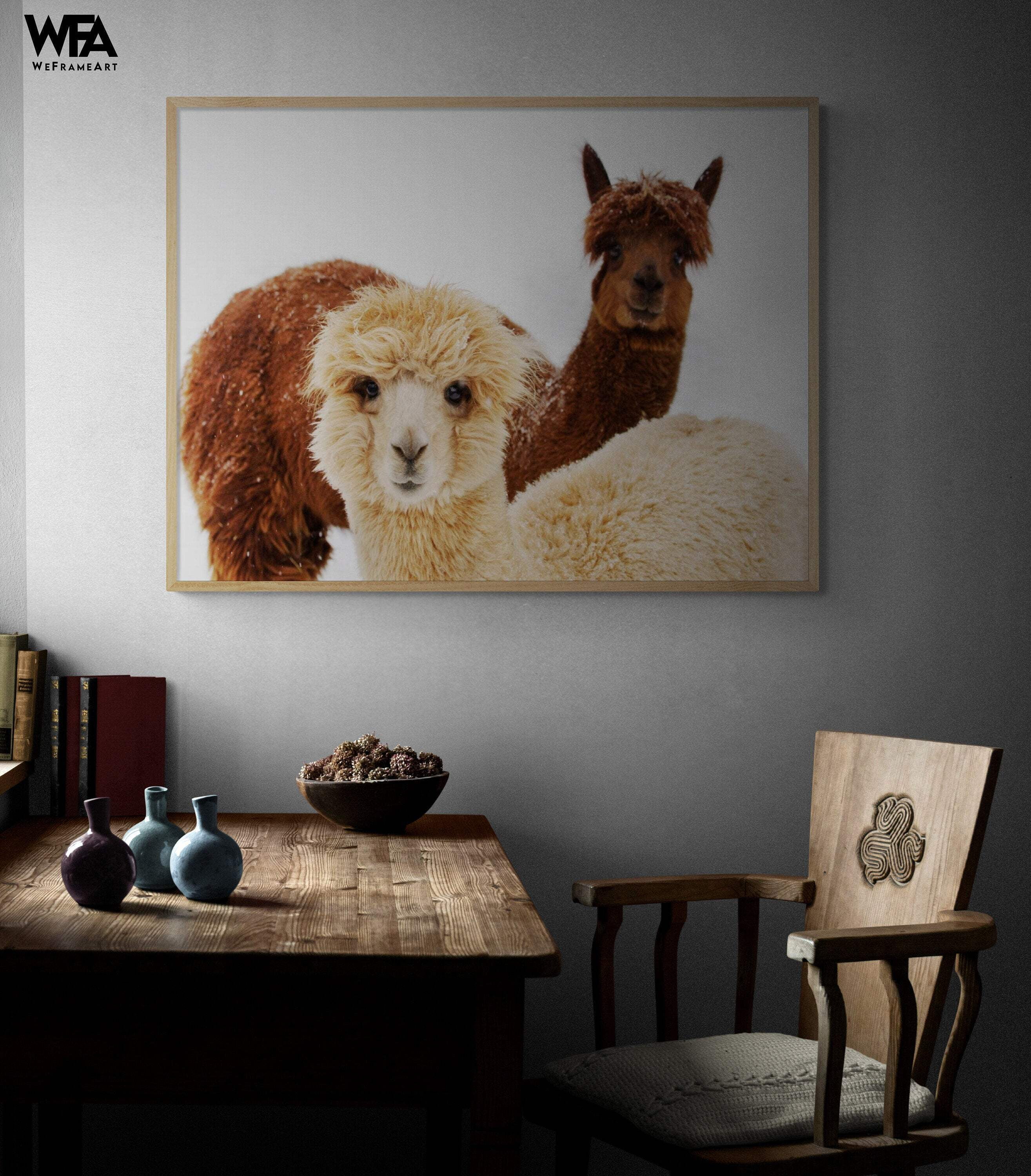 Alpaca Photography Print, Framed Alpaca Portrait Print, Animal ...