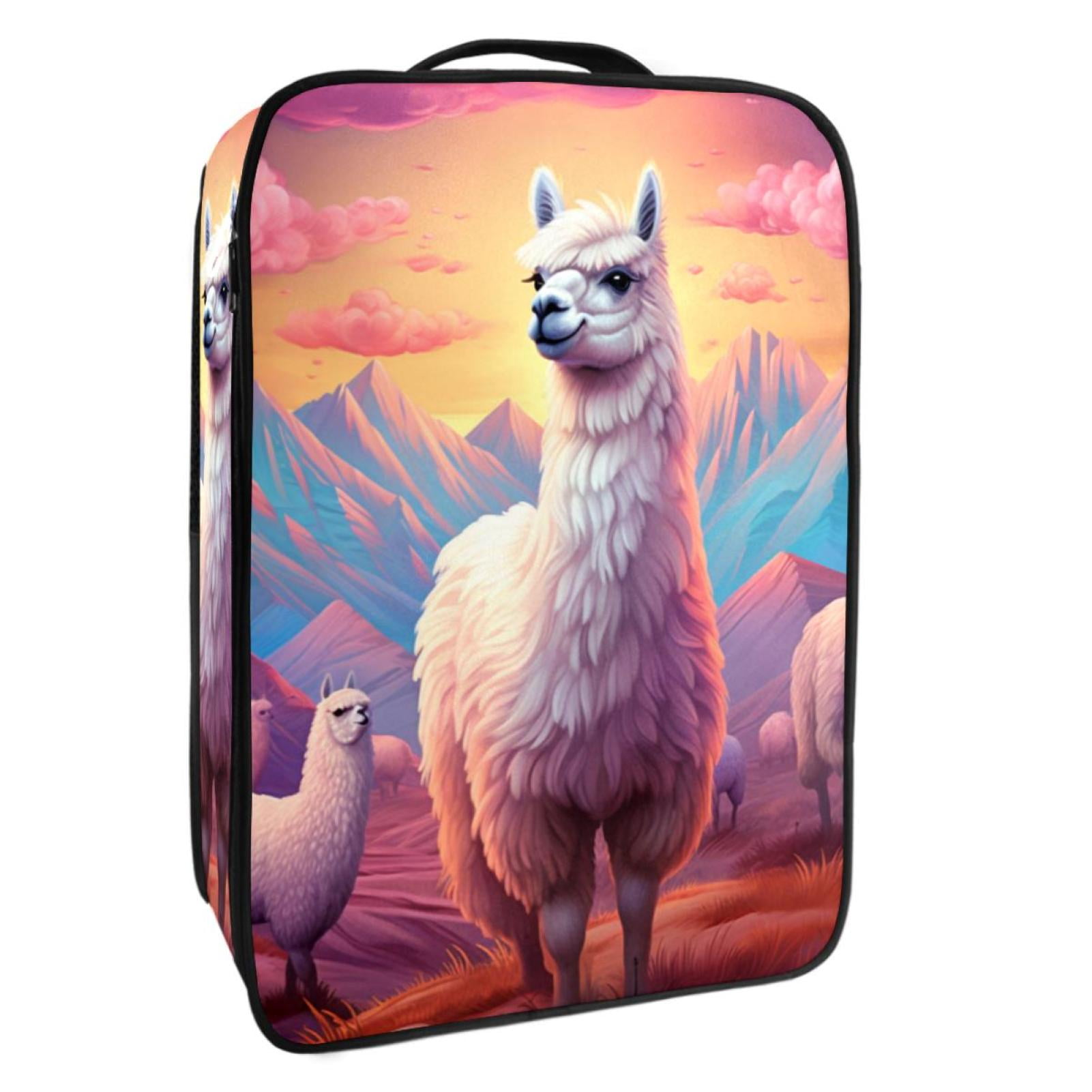 Alpaca Polyester Shoe Box Organizer Rack for 9x12in Shoe Storage ...