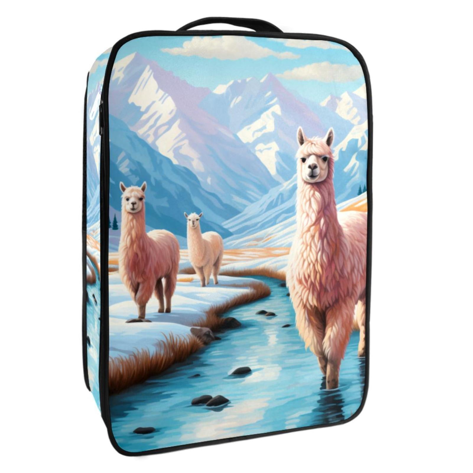 Alpaca Polyester Shoe Organizer Box 23x31cm/9x12in Closet Storage ...