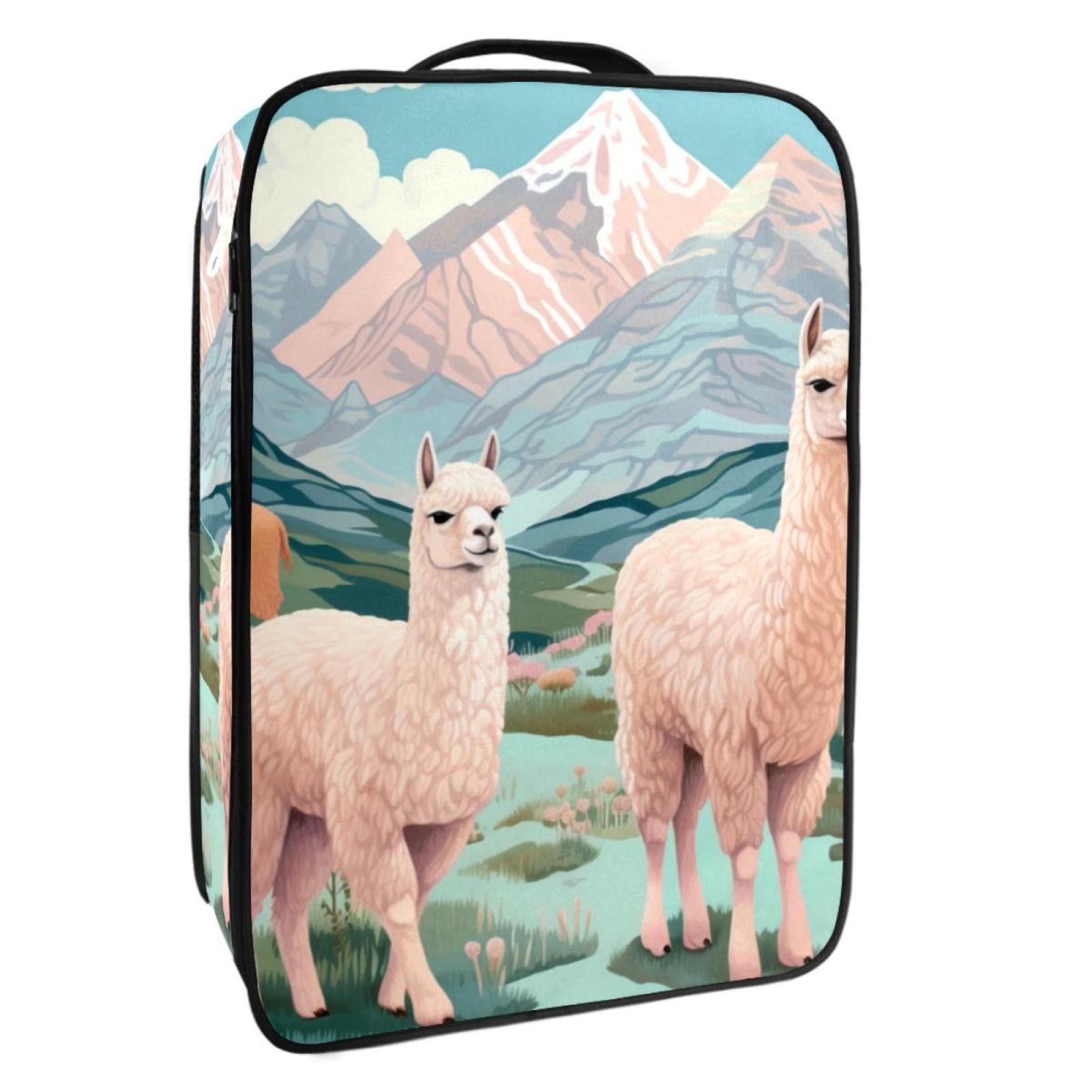 Alpaca Polyester Shoe Organizer Box for Closet, Space-Saving Solution ...