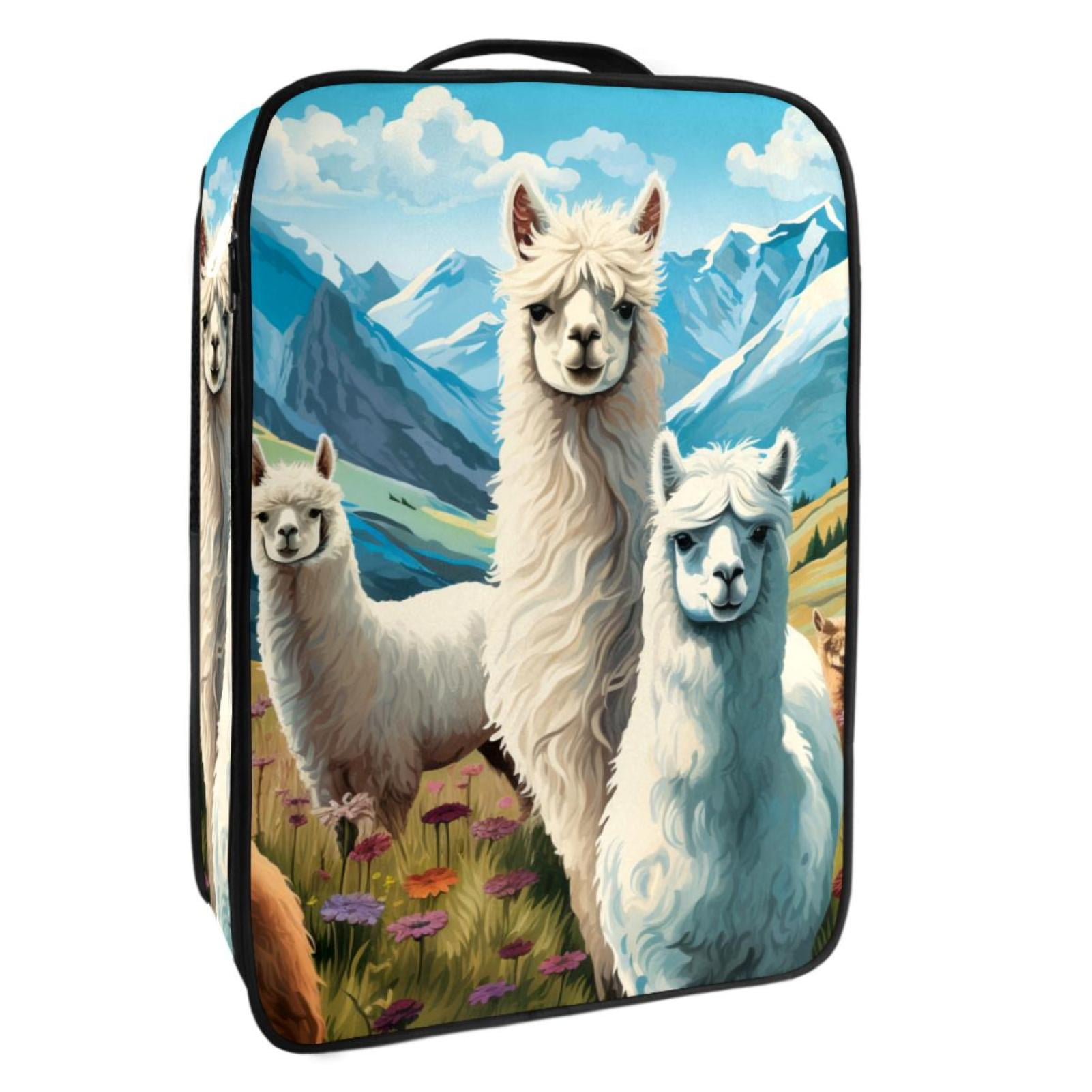 Alpaca Polyester Shoe Organizer Box for Closet, Space-Saving Solution ...