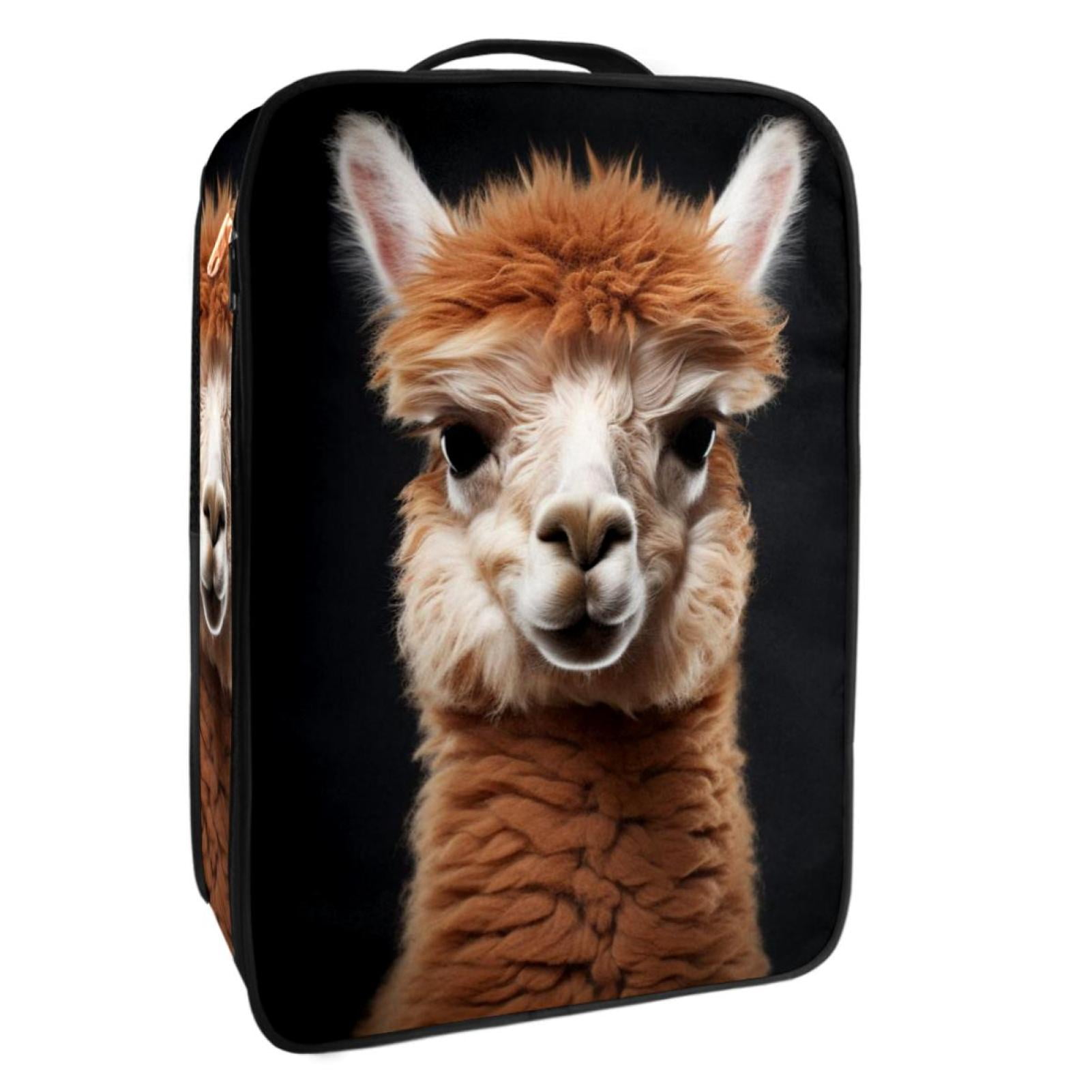 Alpaca Polyester Shoe Rack Organizer Box with 23x31cm Size for Neat and ...