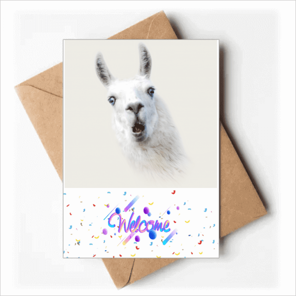 Alpaca Surprise White Mouth Welcome Back Greeting Cards Envelopes Blank ...